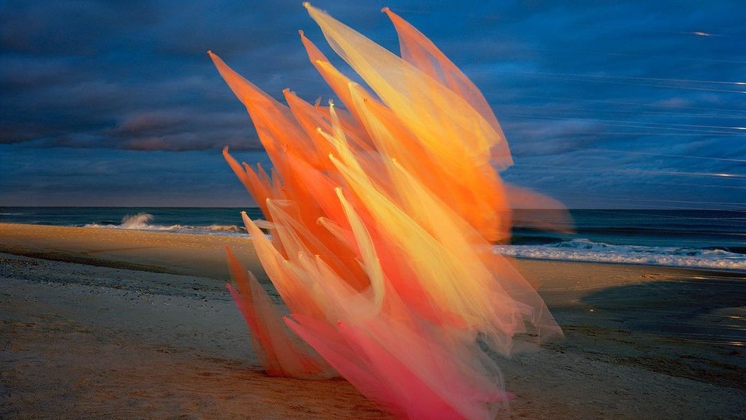 חפצים רוקדים ברוח: מה עומד מאחורי אמנות הצילום של תומאס ג'קסון? – מגזין ...